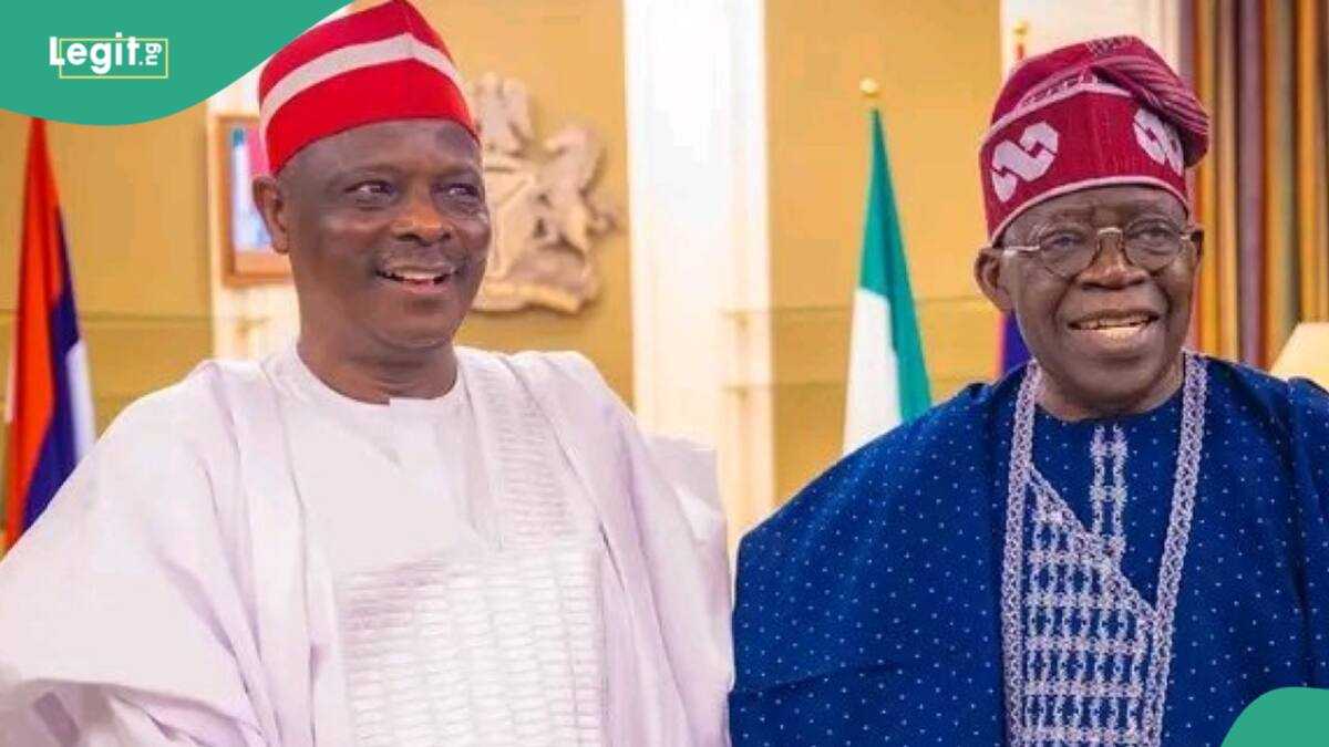 2027 election: Kwankwaso's top ally speaks on NNPP chieftain accepting ...