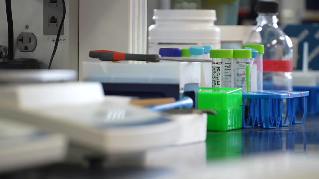 MSU Professor's cancer research at potential risk due to federal freeze