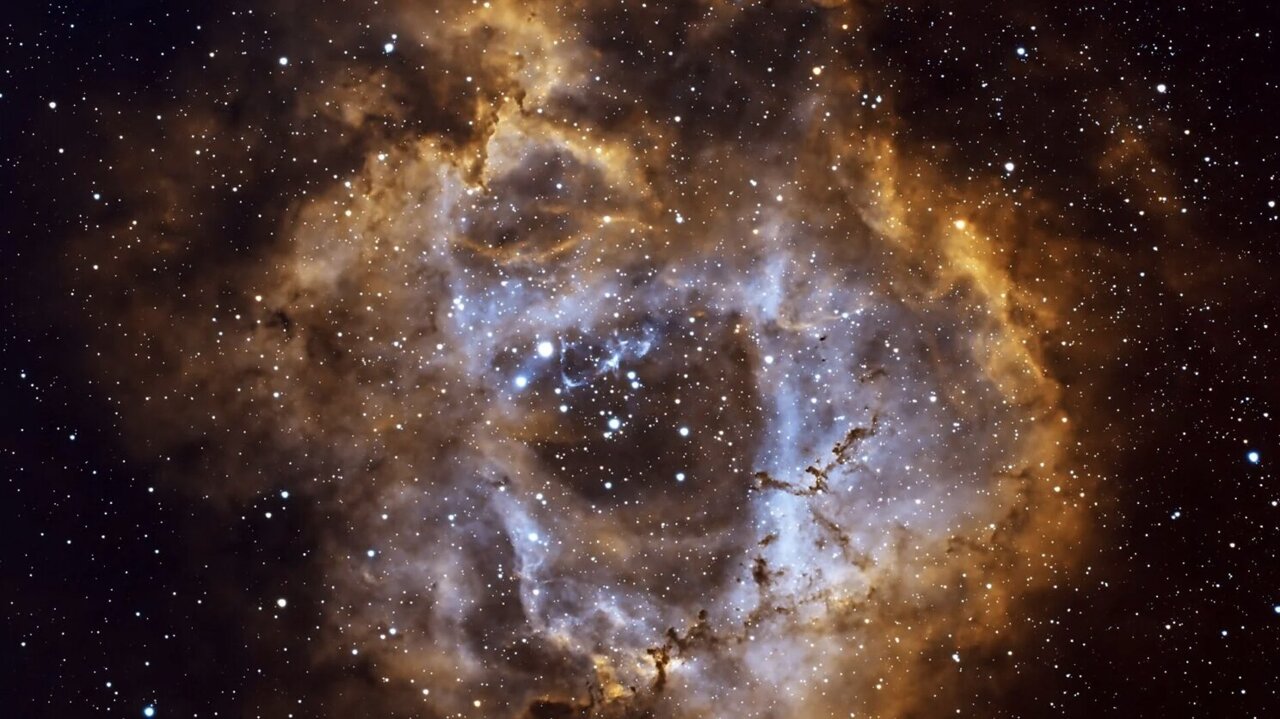 Q&A: A systems approach to saving the planet