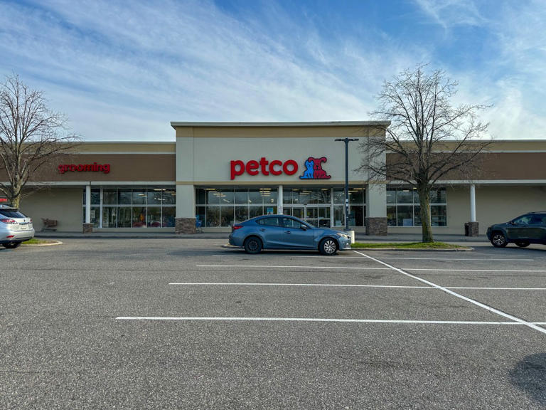 NY Petco selling live egg-laying female chicks for $5.99 a pop in new ...