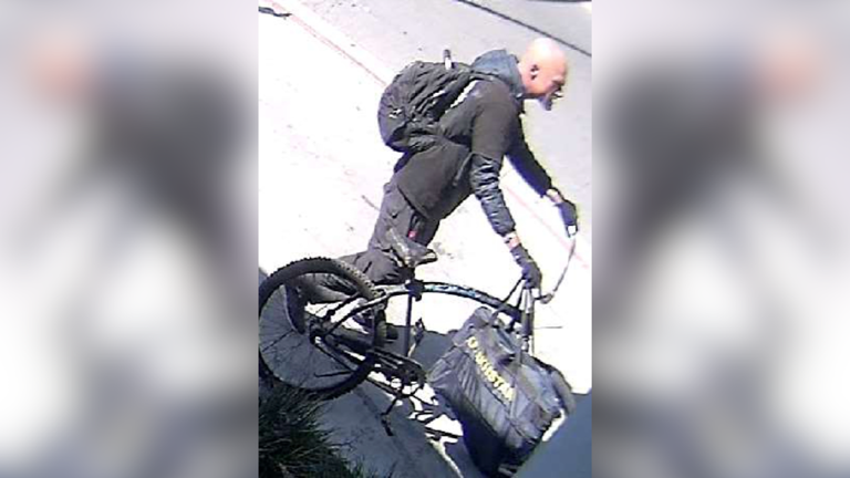 Police arrest man suspected of hacking downtown LA trees with a chainsaw