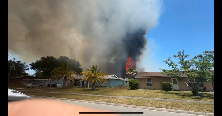Multiple brush fires break out across Palm Bay, causing some evacuations