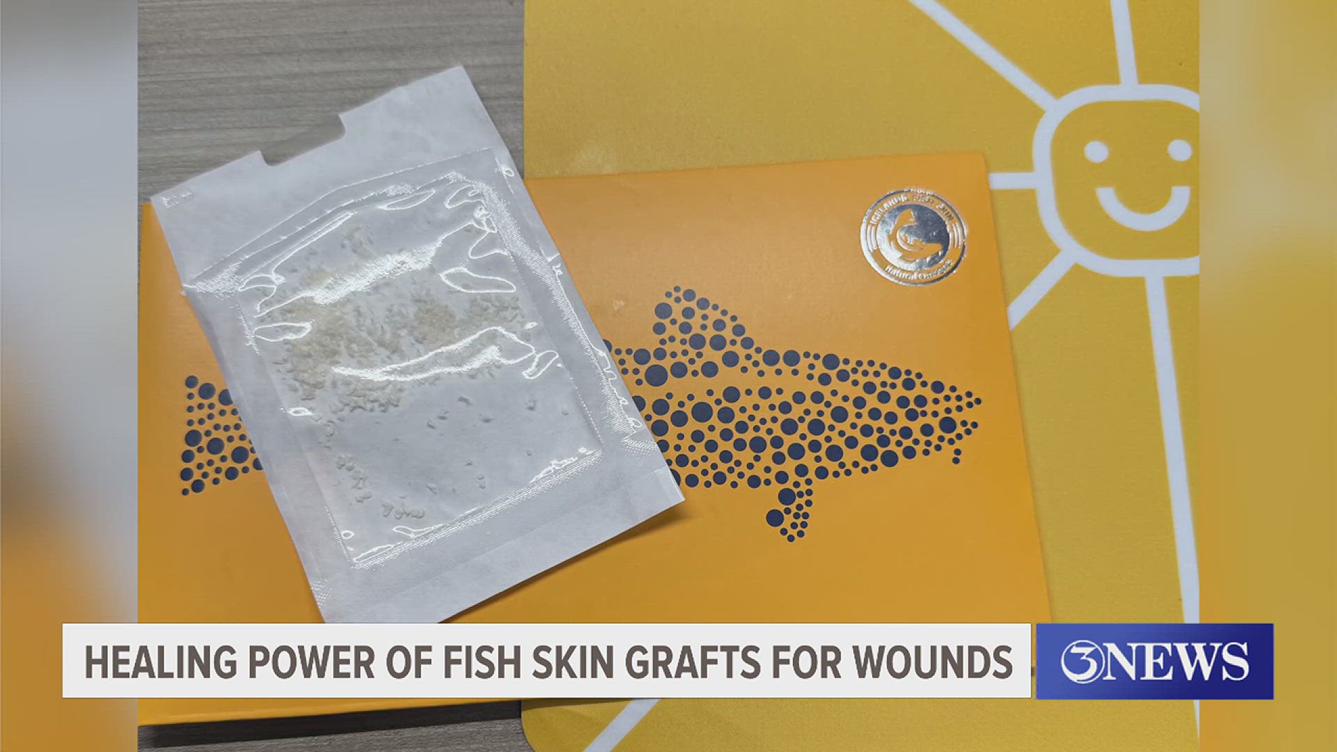 Healing power of fish skin grafts for wounds