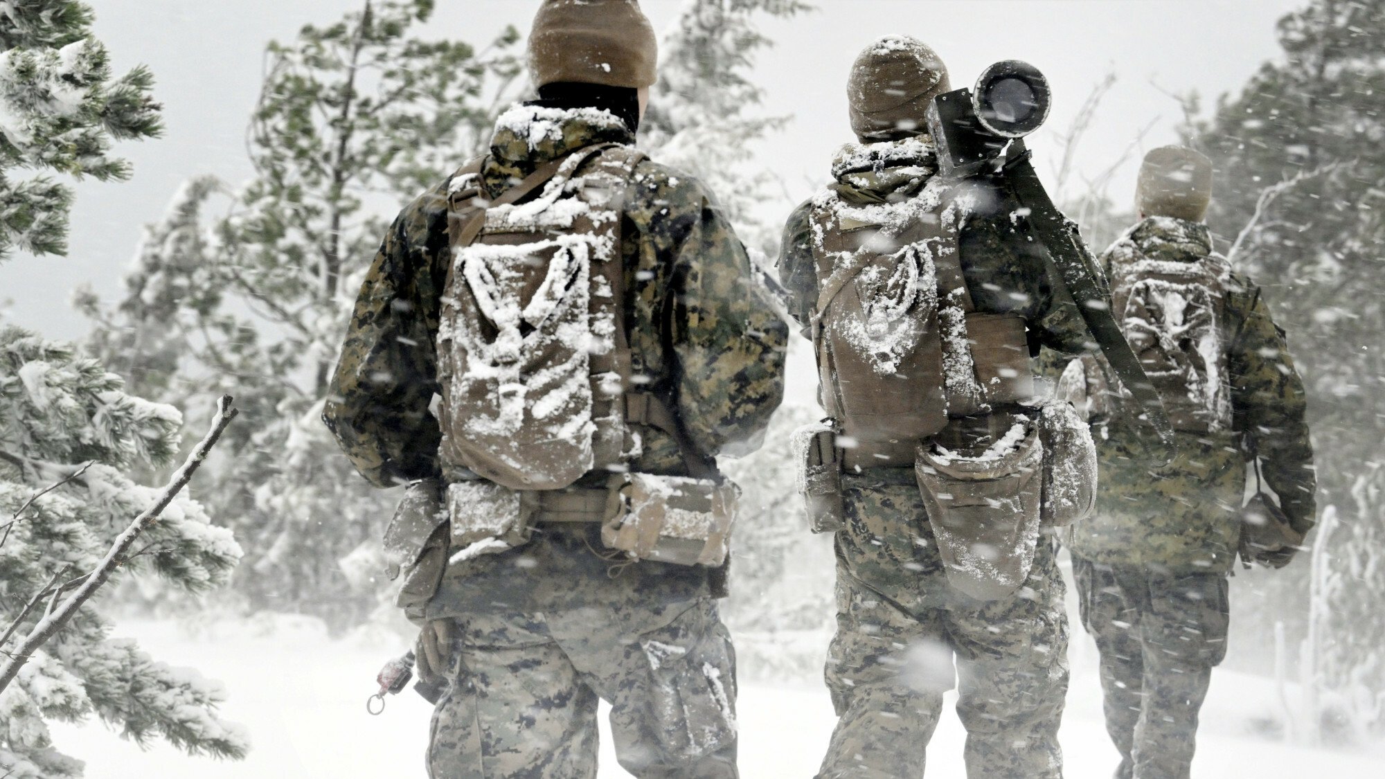 Kraj wschodniej flanki NATO zwiększa wydatki na obronność. 3 proc. PKB ...