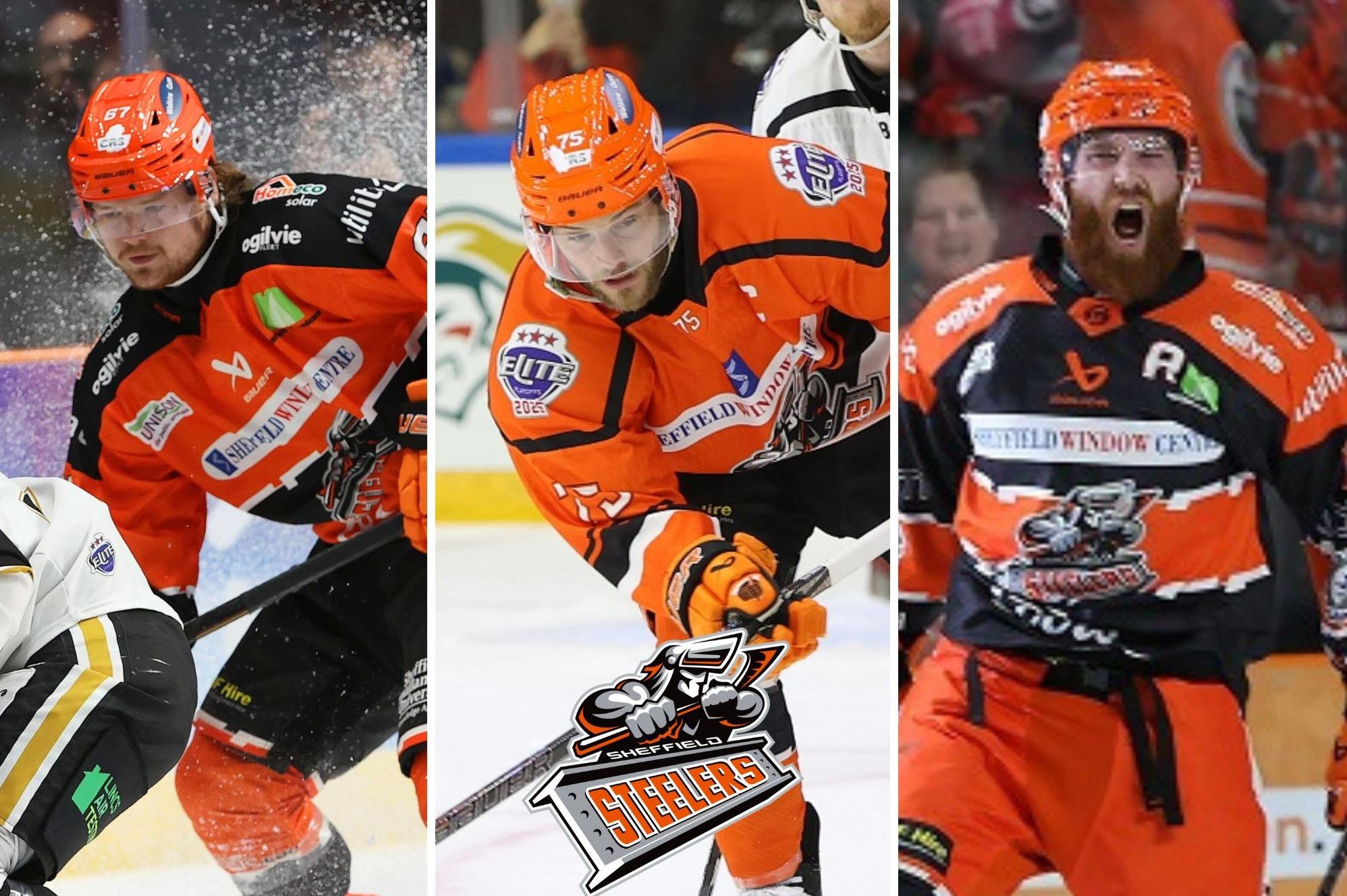 Sheffield Steelers: Aaron Fox on Robert Dowd, Kevin Tansey and Reece Kelly