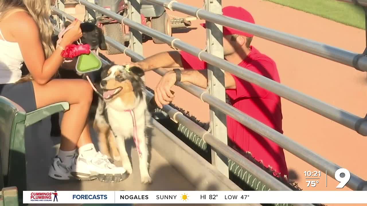 Arizona Baseball beats UT Arlington 9-3 in Brendan Summerhill's first ...