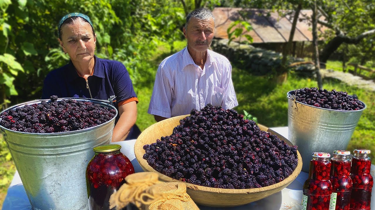 Picking wild blackberries in the mountains and making pie & jam