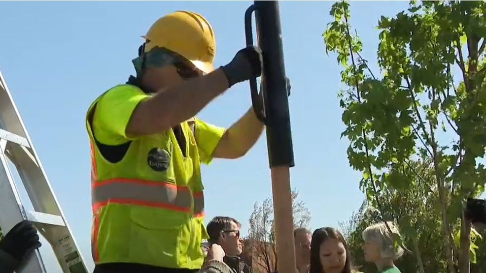 Eugene celebrates Arbor Month by planting 30 new trees to expand urban ...
