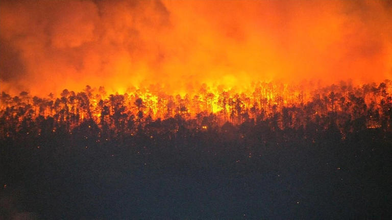 Smoke burning from Ocean County, New Jersey, wildfire visible on radar