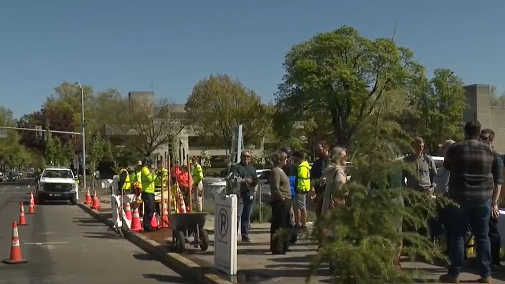 Eugene adds 30 trees downtown as part of Arbor Month celebrations ...