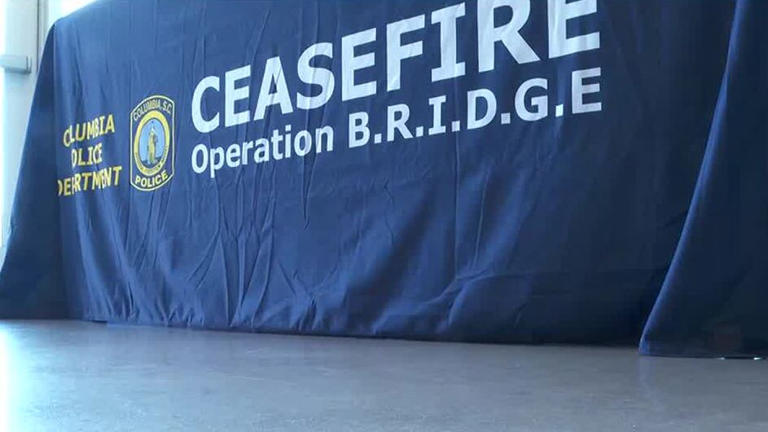 Columbia looking to reduce repeat gun crime offenders with annual ...