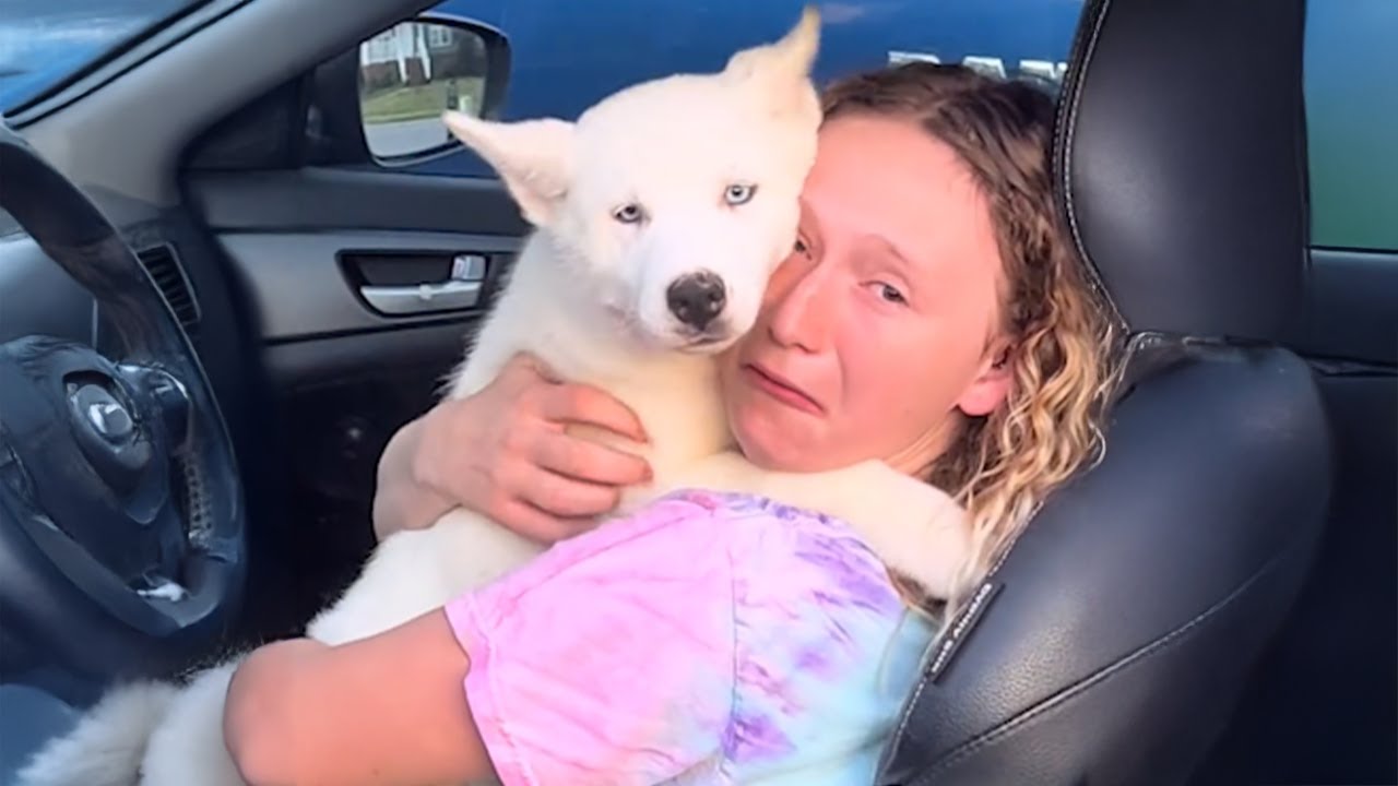 A girl gets excited meeting her dream dog in surprise moment