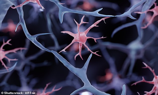 Scientists create first reprogrammed brain cells that could cure ...