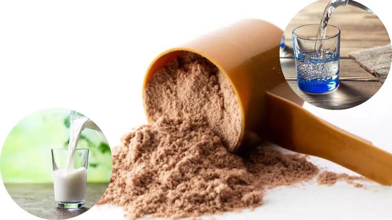 Should You Take Your Protein with Milk or Water? Which is Better?