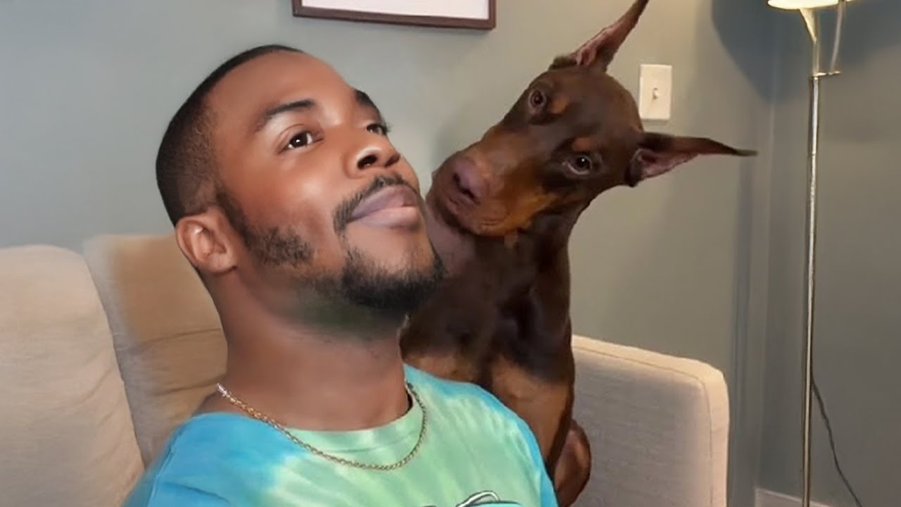 Calling Dog’s Name Nearby Leads to Comical Reactions