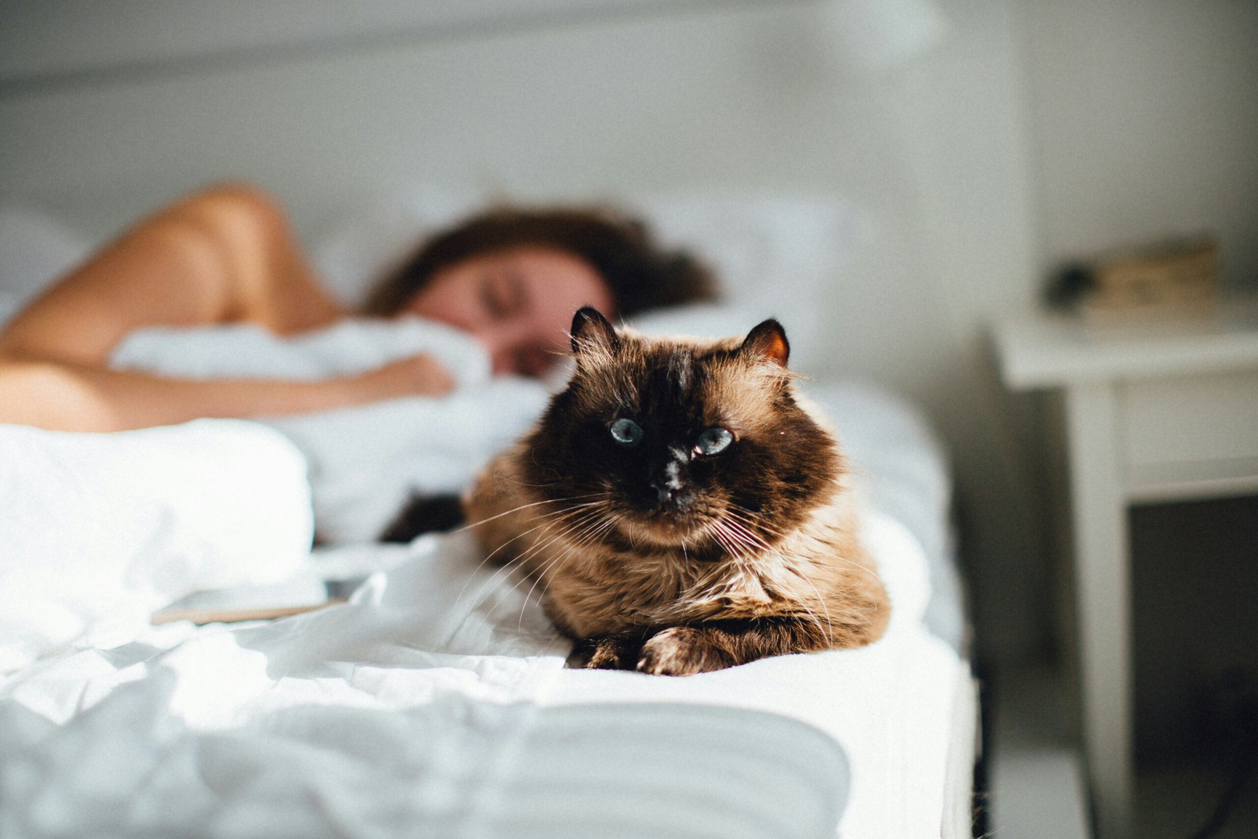 How to Avoid Jet Lag: 10 Tips That Actually Work
