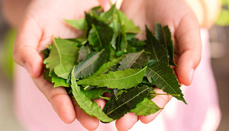9 Amazing Health Benefits of Eating Neem Leaves