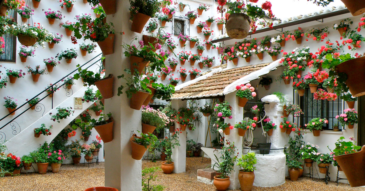 Patios de Cordoba festival: a glimpse into the city's courtyards