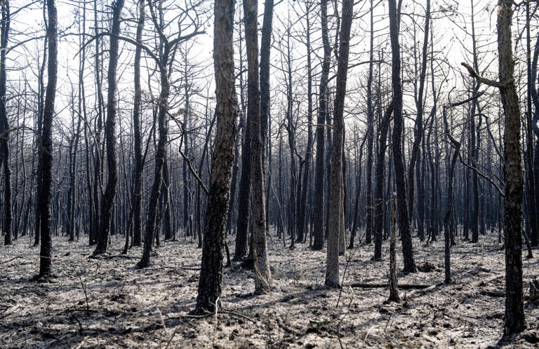 New Jersey man faces arson charges in connection with Jones Road ...