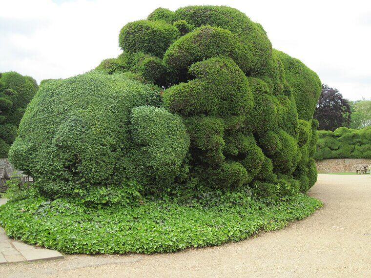 Popular Home Features That Could Actually Lower Your Property Value