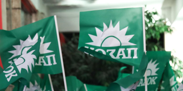 Χ. Τρικούπη για Τζεδάκη: Το ΠΑΣΟΚ δεν θα λογοδοτεί για πρόσωπα που δεν ...