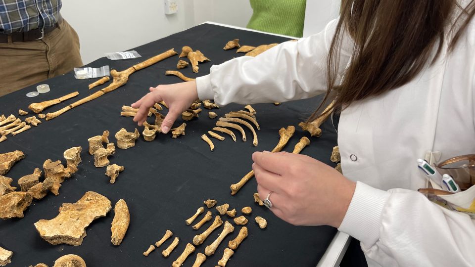 Unearthed skeletons reveal tough lives of Early Medieval women