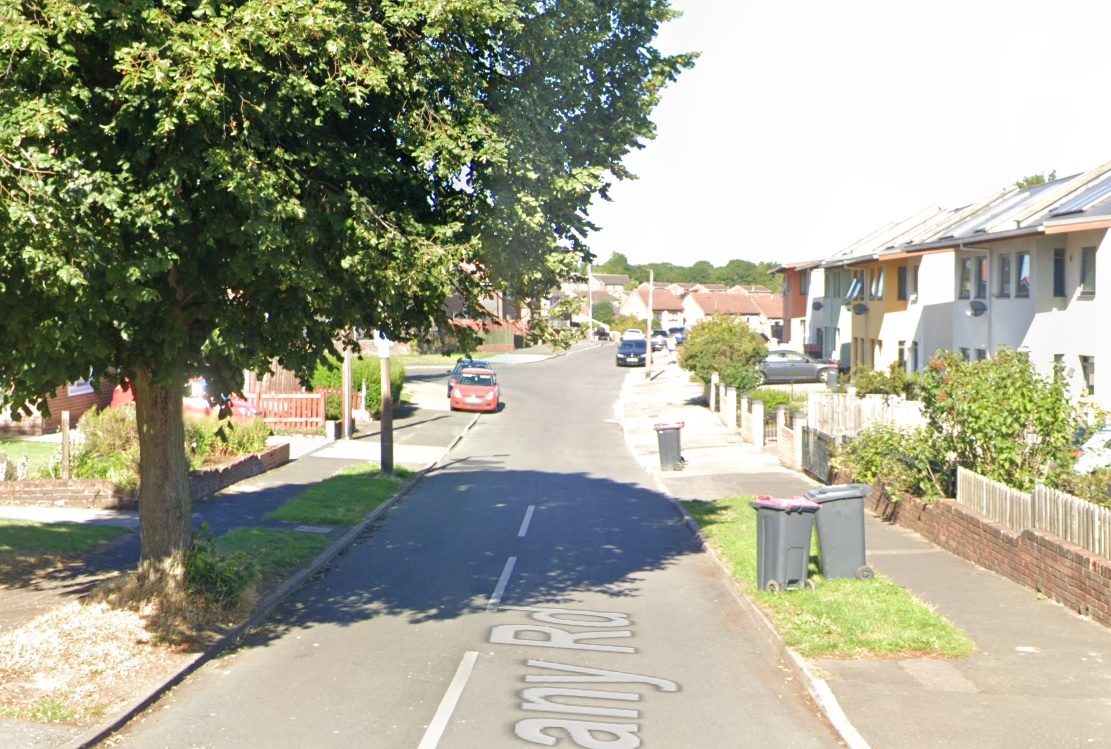 Rotherham dangerous dogs: Escaped 'pocket bully' mauls elderly woman's ...