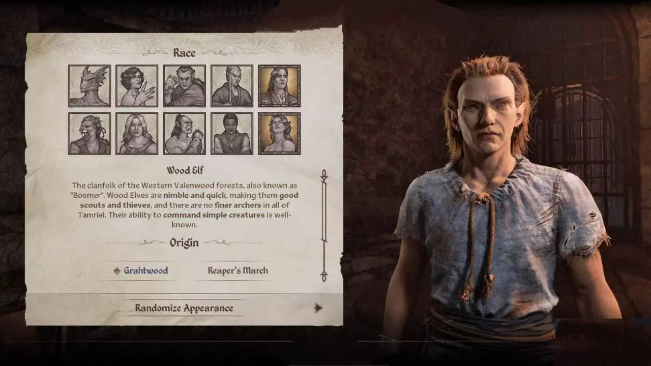 How to make and play the Best Scout Build in Elder Scrolls Oblivion ...