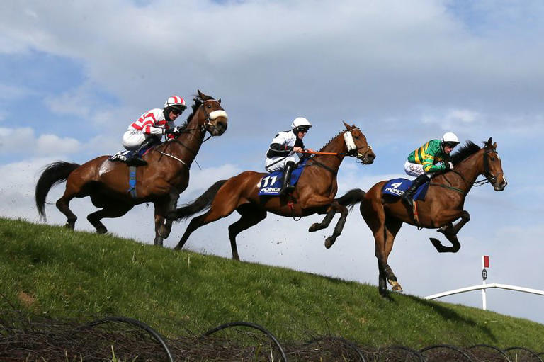 The Punchestown Festival with your Daily Mirror - Don't miss out!