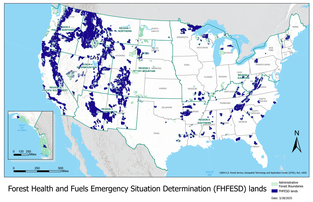 What Trump's executive order on timber could mean for Tennessee forests