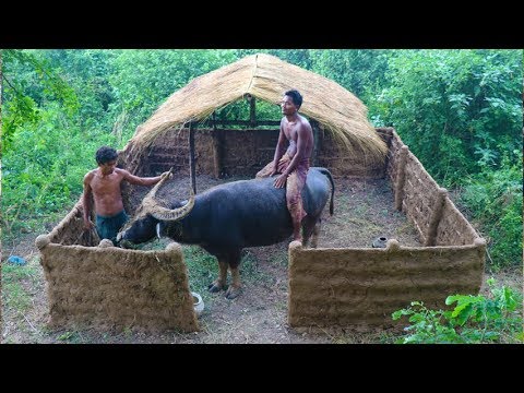 A $0 Buffalo House Built by Hand Deep in the Forest With Primitive ...