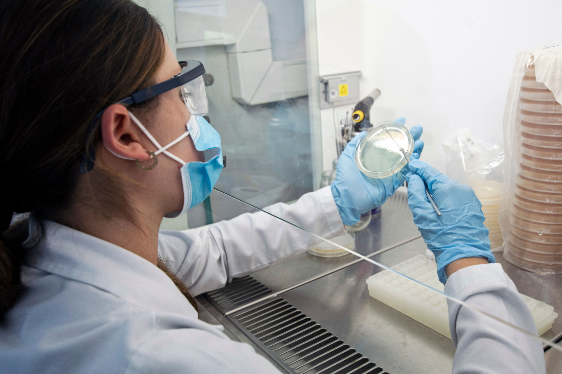 The impact of fake studies on scientific research