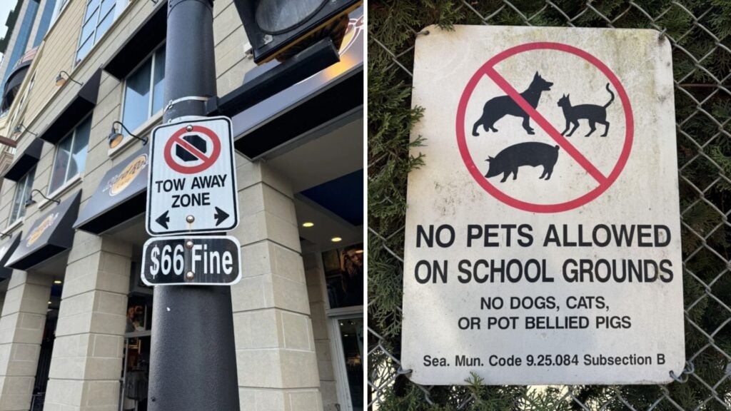 27 Oddly Specific Signs That Made Us Laugh Even if That Wasn’t the ...