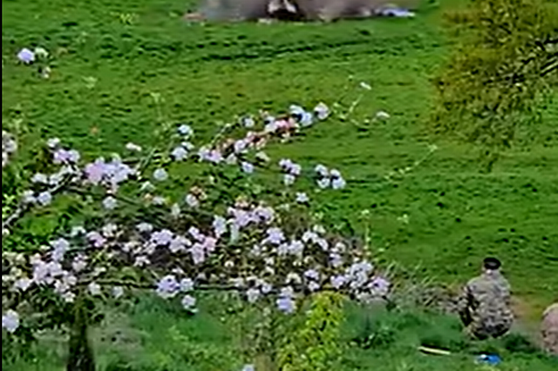 Bomb disposal unit deployed to Nottinghamshire Park after ammunition ...