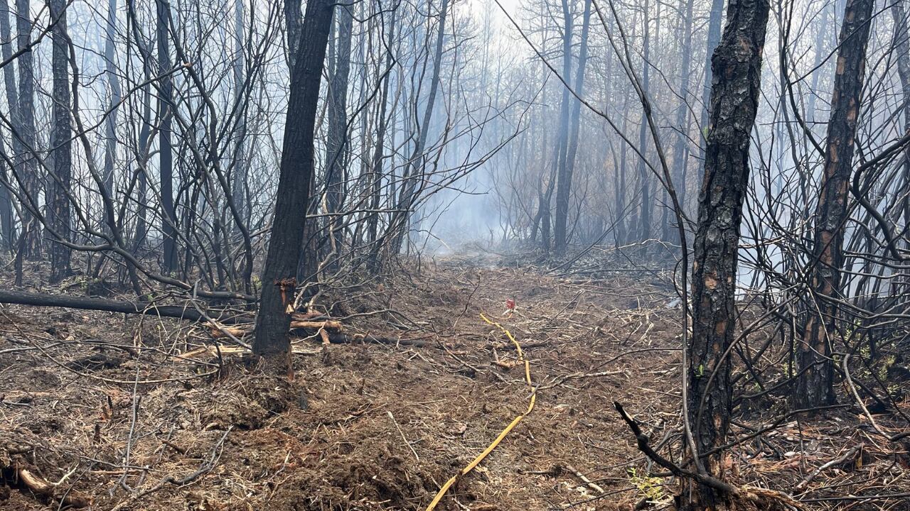 Officials: Carolina Forest wildfire still an ‘active incident,’ smoke ...