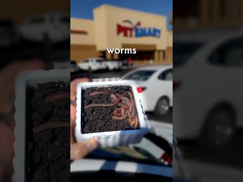 Saving worms from the reptile store