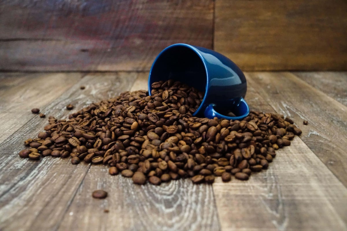 Millennials ‘spill the beans’, while Gen Z ‘spills the tea’, study says