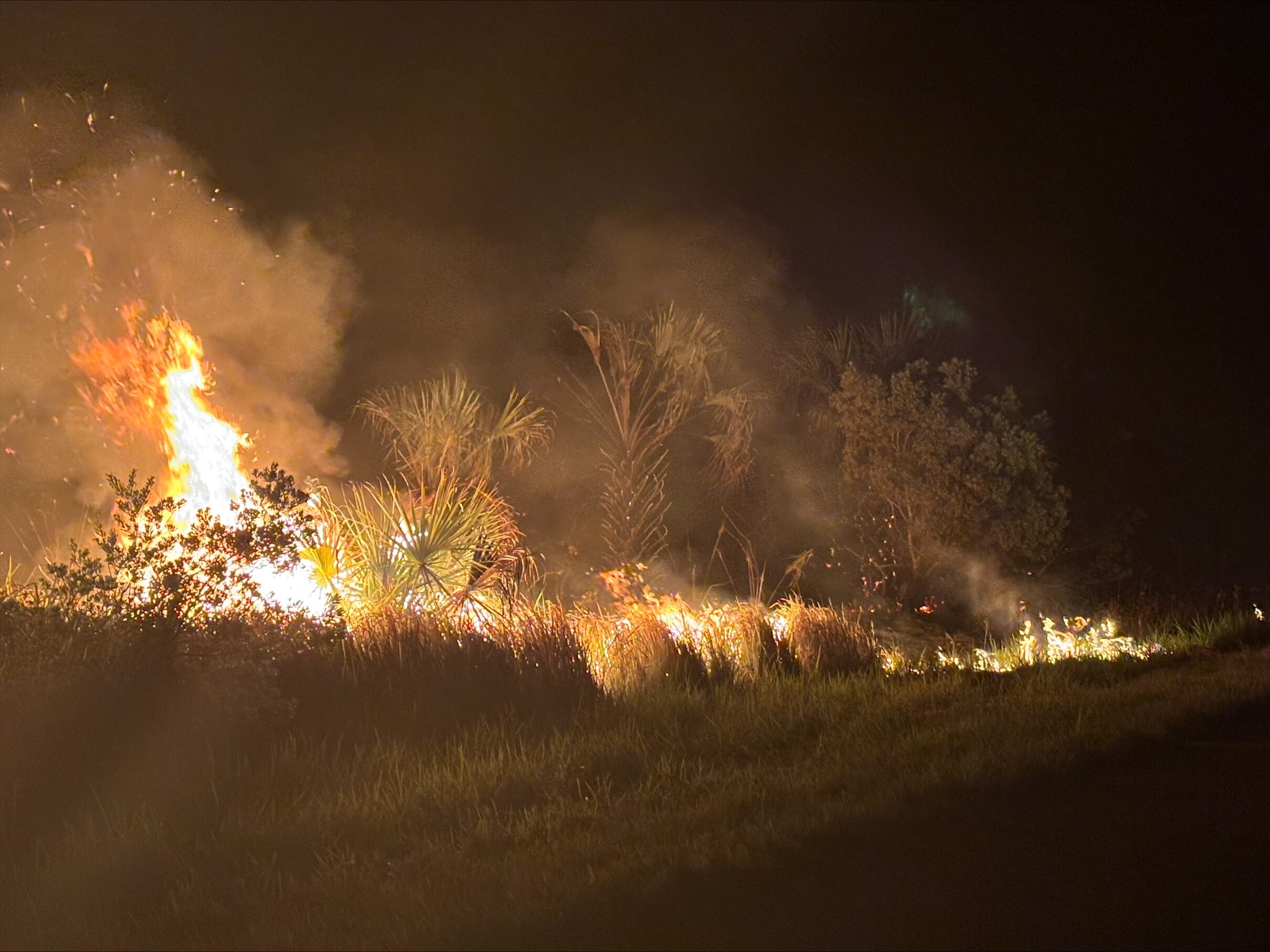 Orlando physician urges caution during Central Florida’s wildfire season