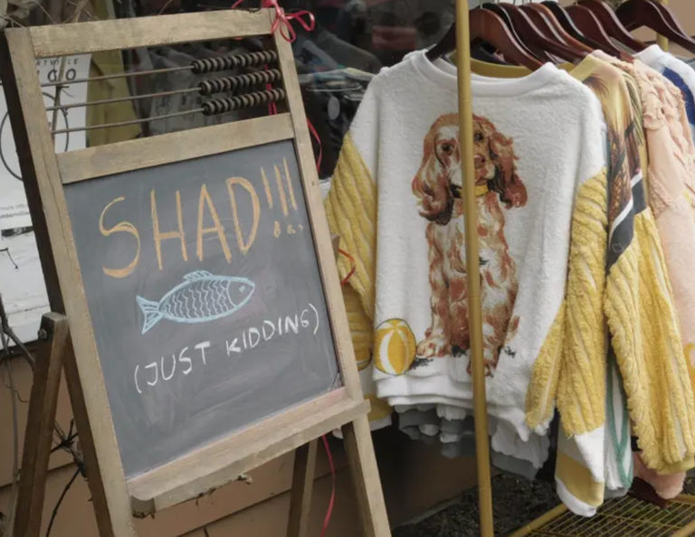 Shad Fest Casts Off This Weekend In The City Of Lambertville