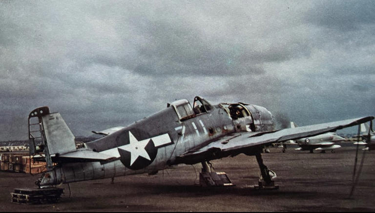 From the Bottom of the Sea to Wildwood: The Incredible Story of the F6F ...