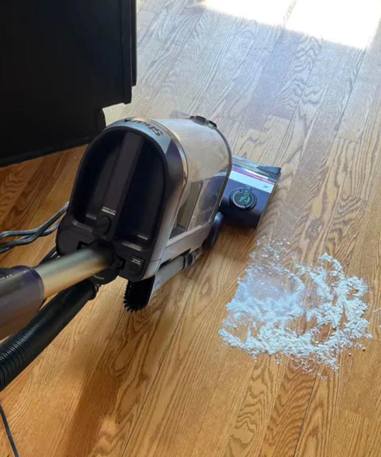 Banish hosting mess with this $200-off Shark vacuum that clears debris ...
