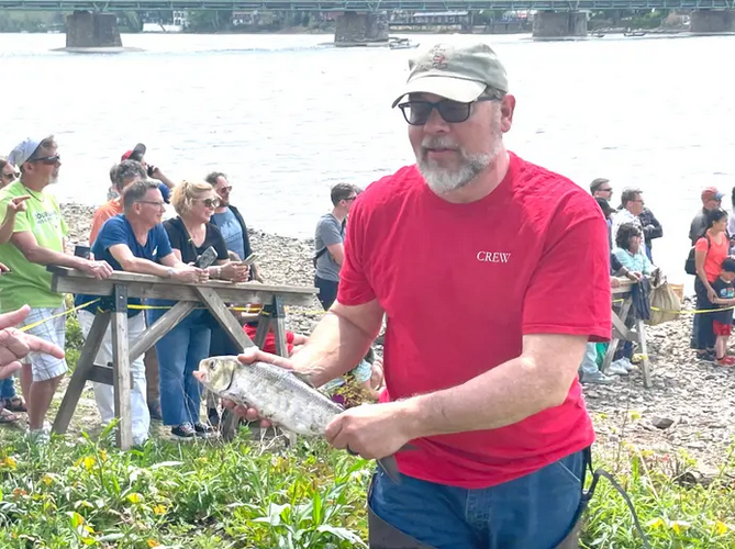 Shad Fest Casts Off This Weekend In The City Of Lambertville