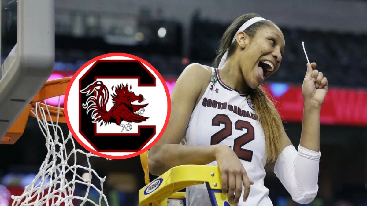 Gamecocks Take Over the WNBA: Which Former South Carolina Stars Will ...