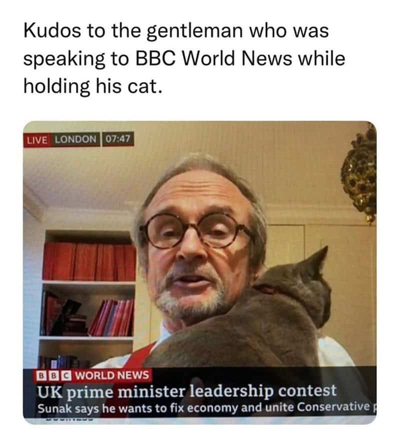 40 Mischievous Animal Memes Of Furry Friends Getting Into All Sorts Of ...