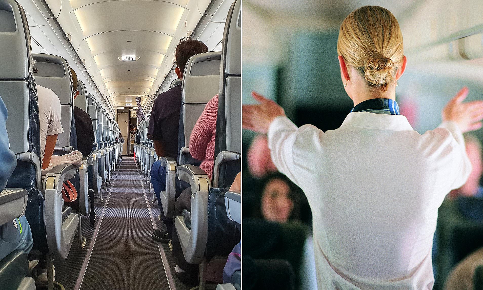 Flight attendant settles the arm rest debate once and for all as they ...