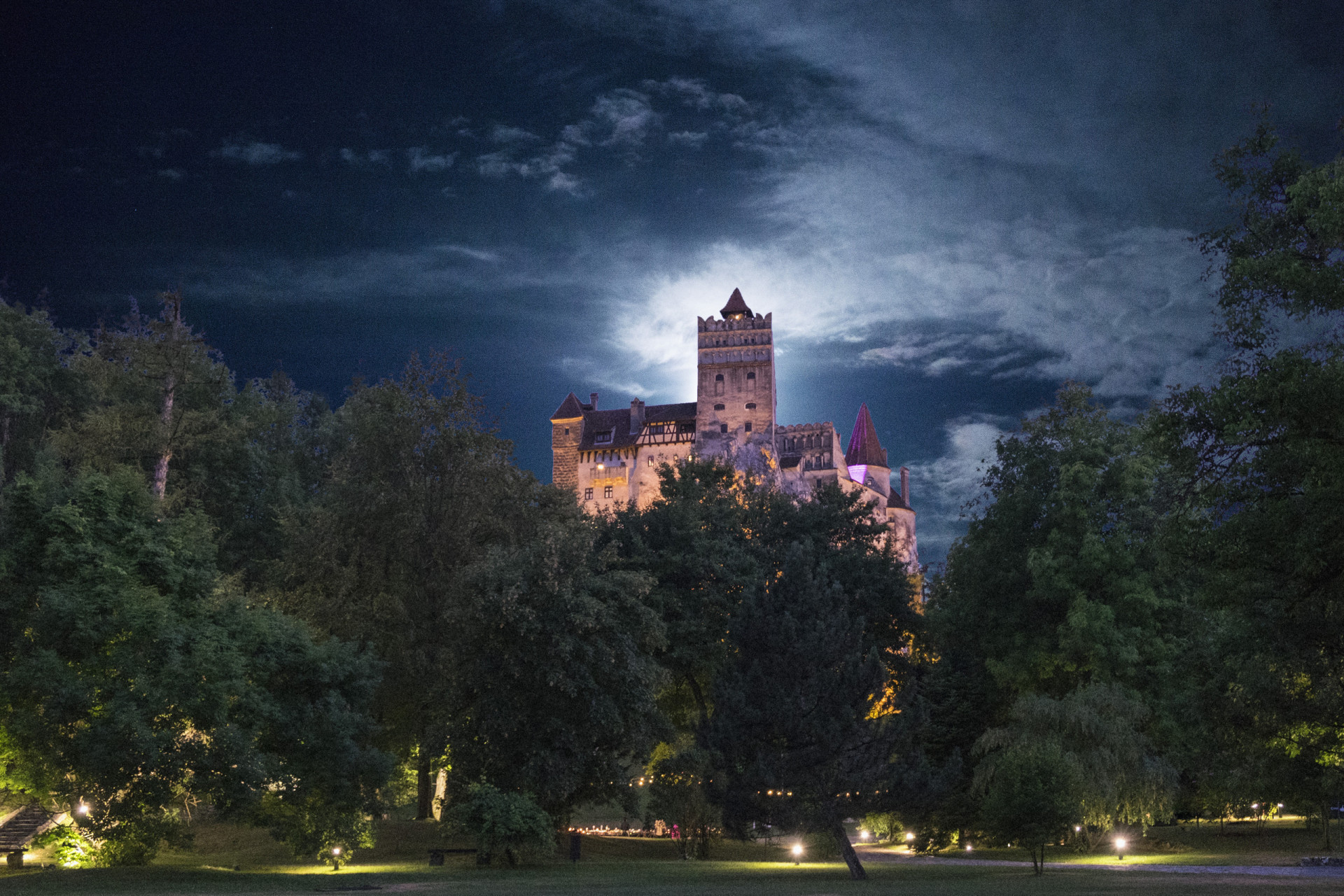Au cœur de la Transylvanie : la forêt la plus hantée du monde