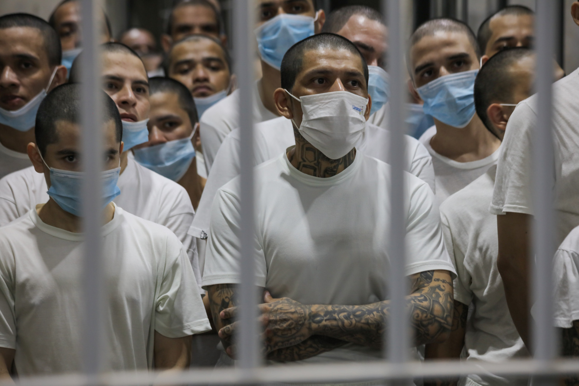 America’s most notorious gangs