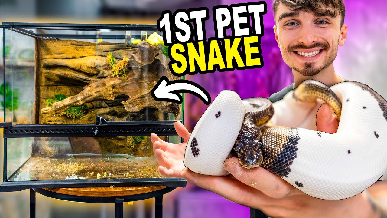 Building My First Ever Snake Enclosure