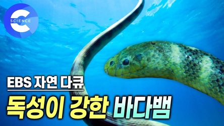 EBS 사이언스 - MSN