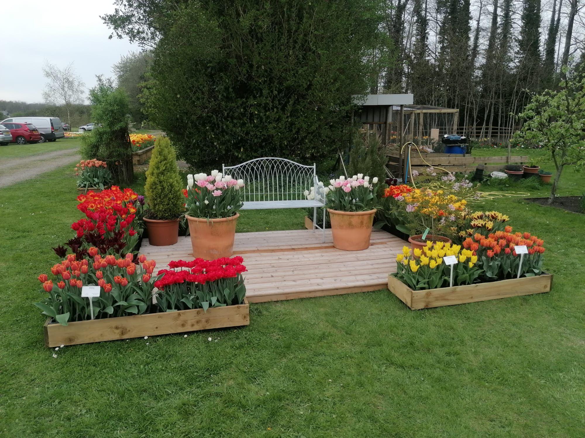 Flower power boost for Lancashire charities